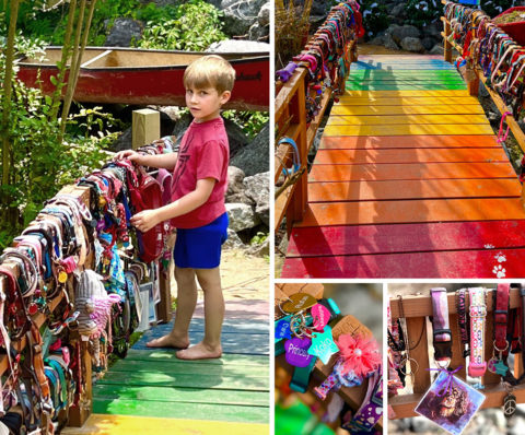 Rainbow Bridge | Lake Lure Flowering Bridge